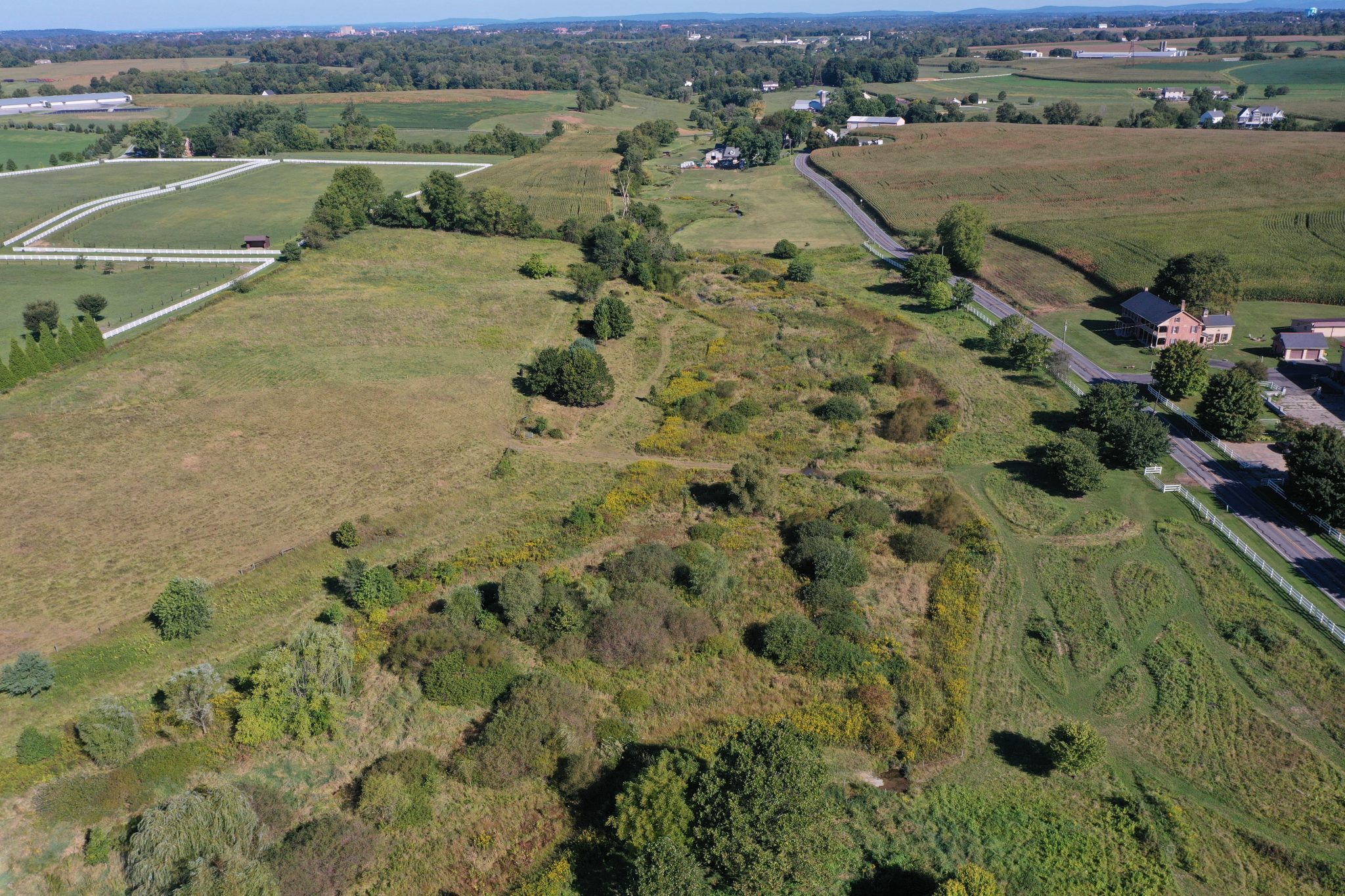 Ripple Effect: 9 years of Water Week Reflections - LandStudies